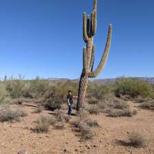 Shell | 3906 W New River Rd, New River, AZ 85087, USA