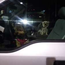 Shell | 4910 Barksdale Blvd, Bossier City, LA 71112, USA