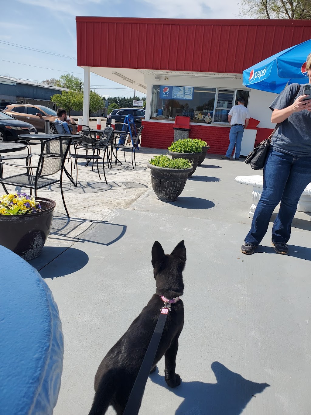 Science Hill Dairy Mart | 6611 KY-1247, Science Hill, KY 42553, USA